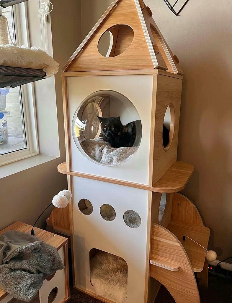 Amazing Rocket Ship Cat Tree | Unique Cat Tree With Fun and Adventure ...