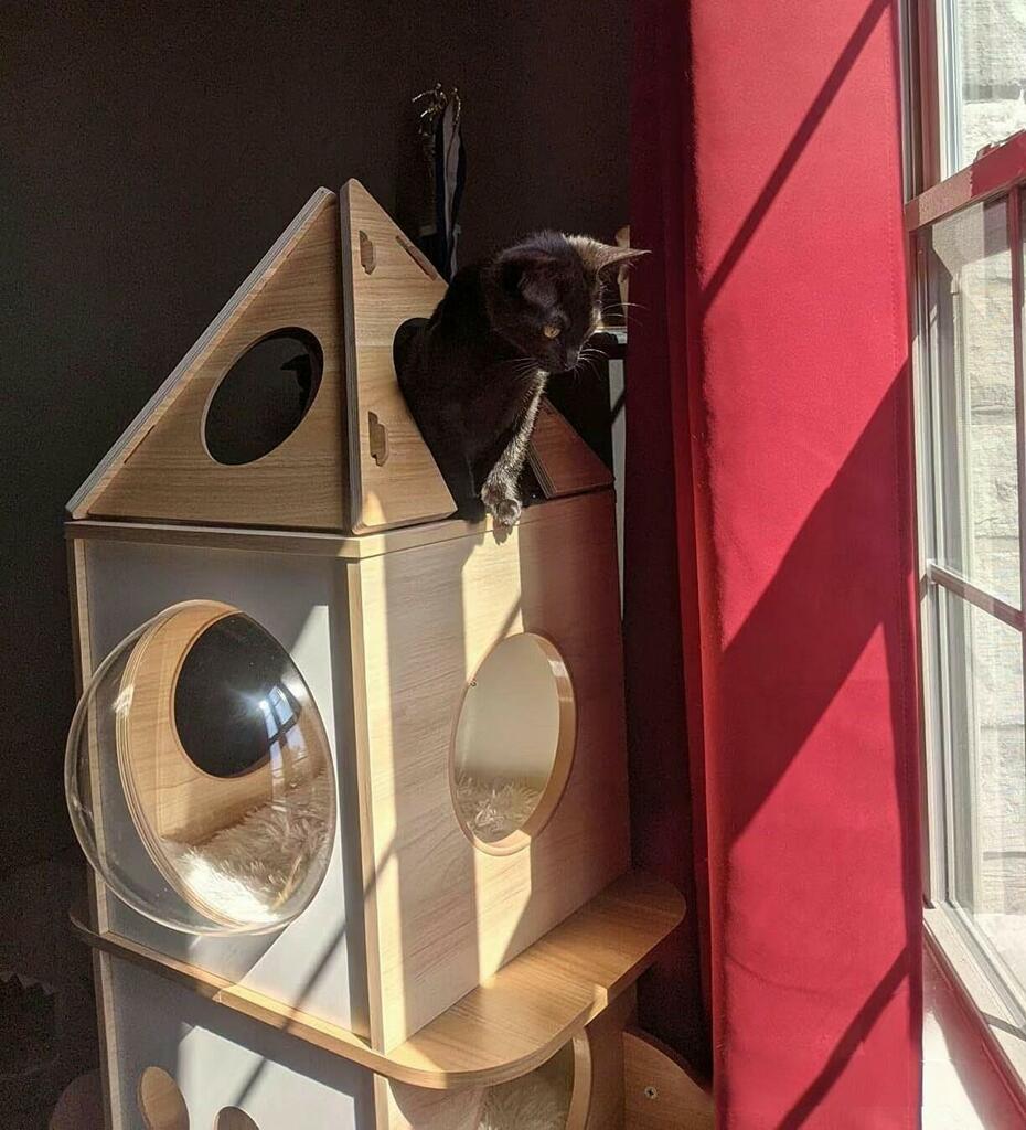Amazing Rocket Ship Cat Tree | Unique Cat Tree With Fun and Adventure ...