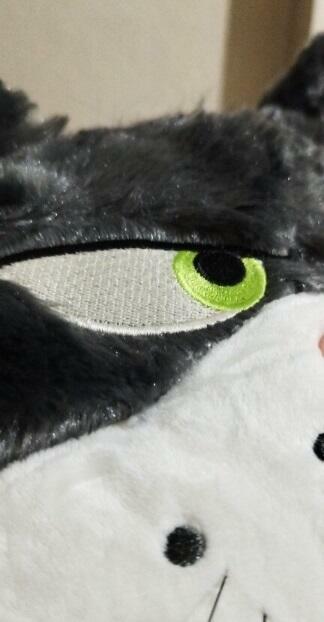 SideEye Kitty (Limited Edition) – RadWish