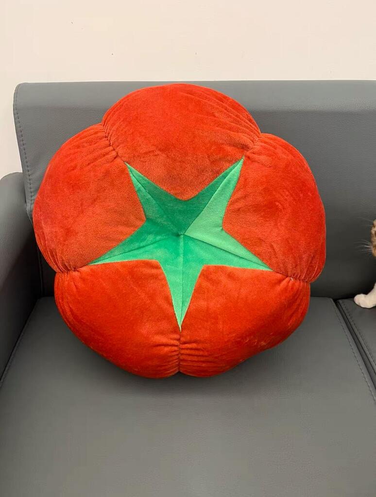 Tomato Cushion Pillow – Cute Fruit-Inspired Plush for Sofa or Bed – The ...
