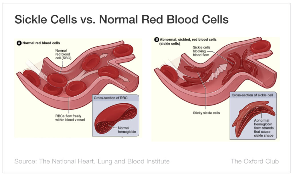 The #1 Insider Stock for 2025 | The Oxford Club