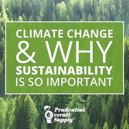 Climate Change & Why Sustainability Is So Important