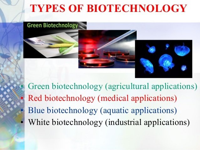 Patrick Leyseele Types of Biotechnology