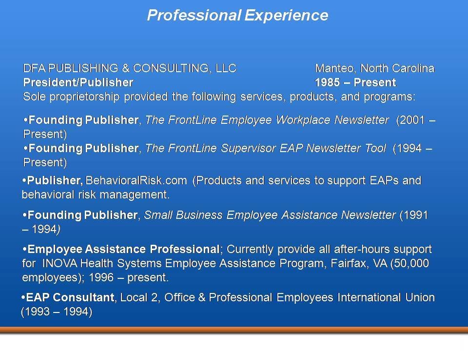 Daniel Feerst : Professional Experience