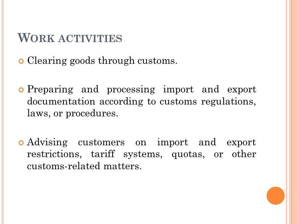 Massimo Giuseppe de Caro prado - Customs Officer - Job Description