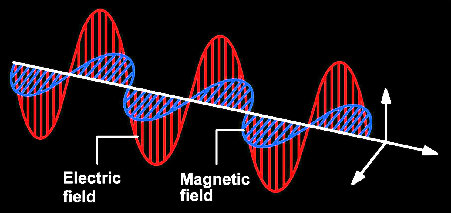 Light Transport and BRDF