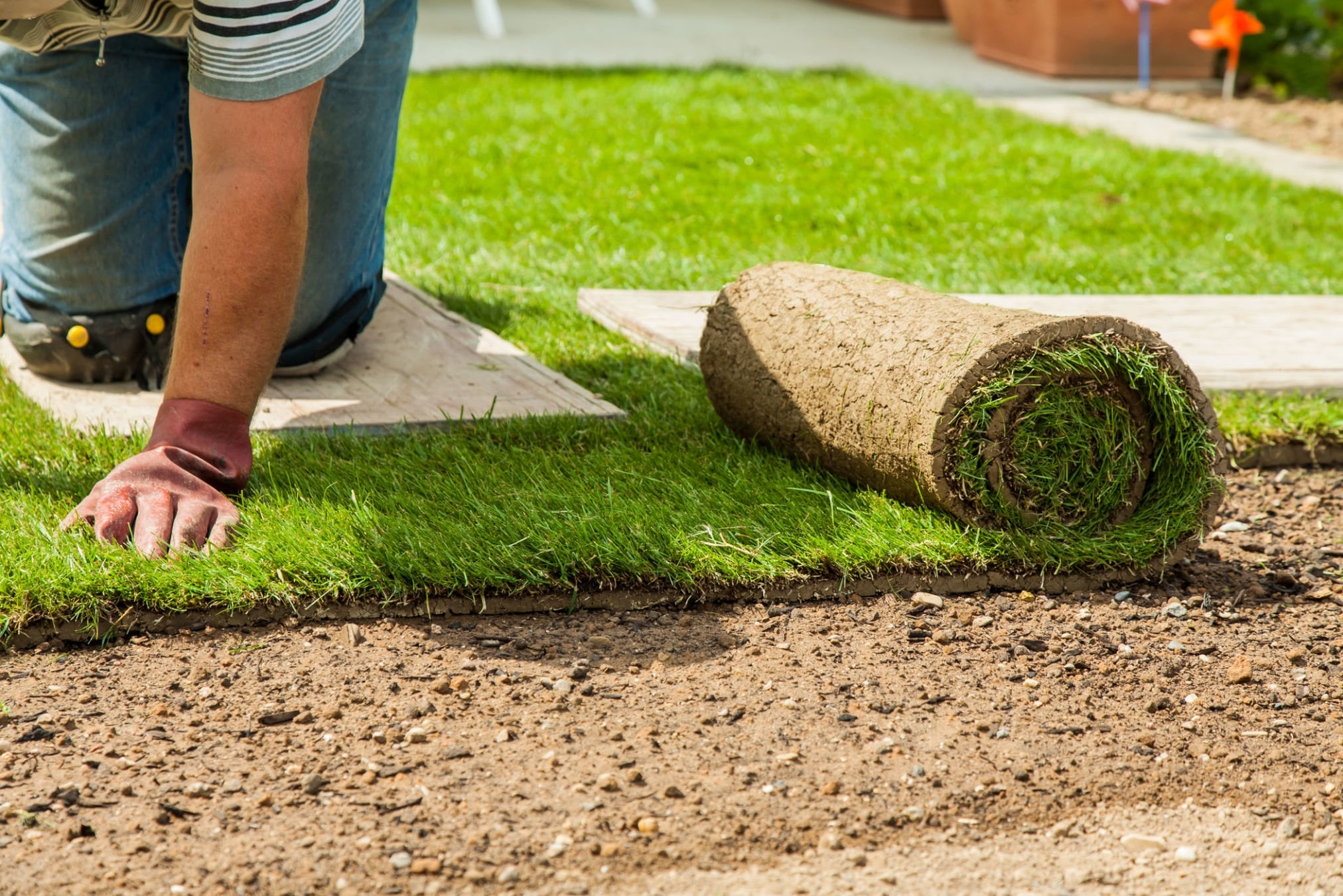 Control high levels of pollution with lawn maintenance in Burnaby