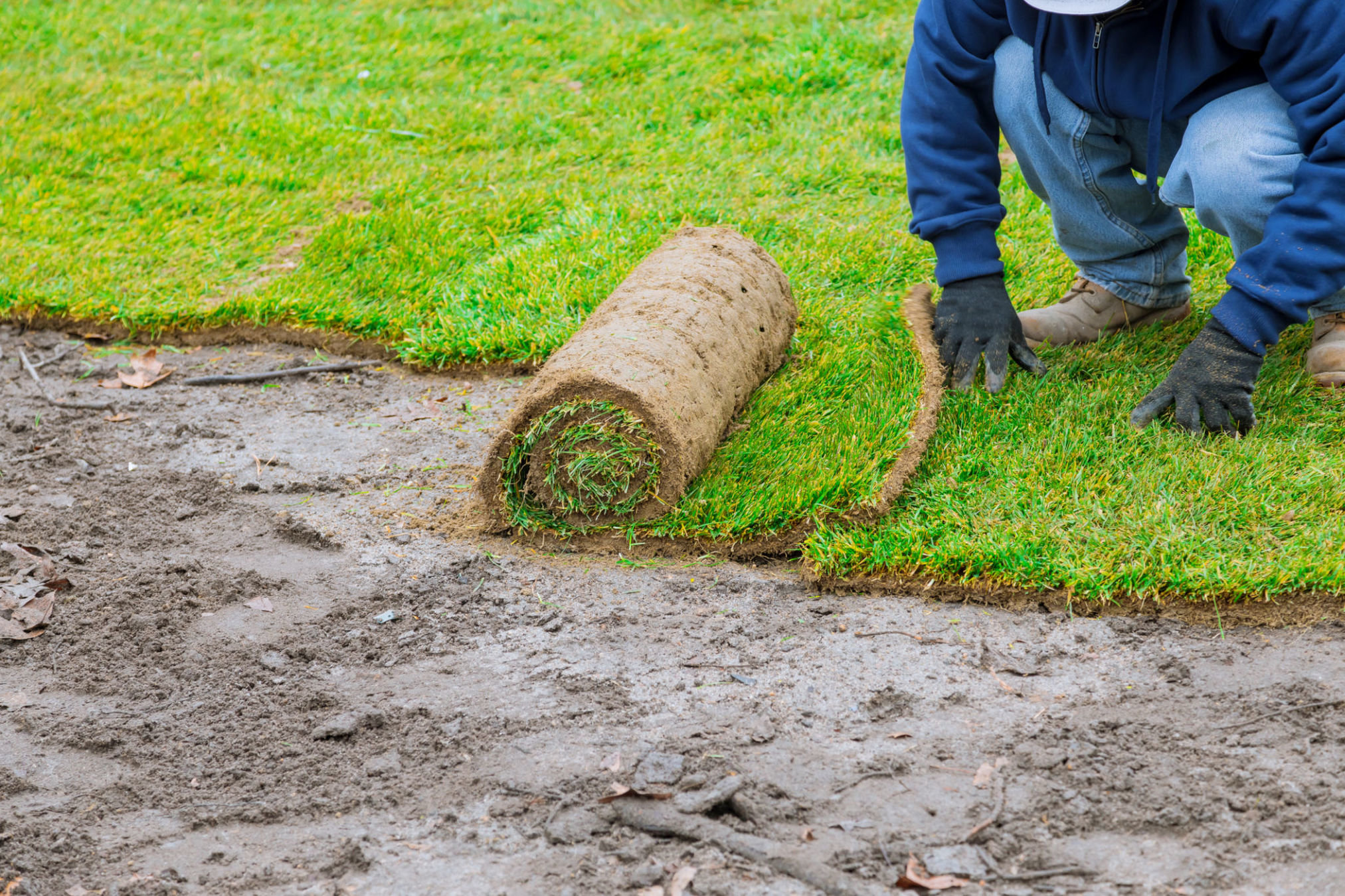 Control high levels of pollution with lawn maintenance in Burnaby