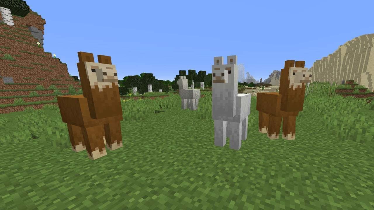 Instructions To Breed Llamas In Minecraft
