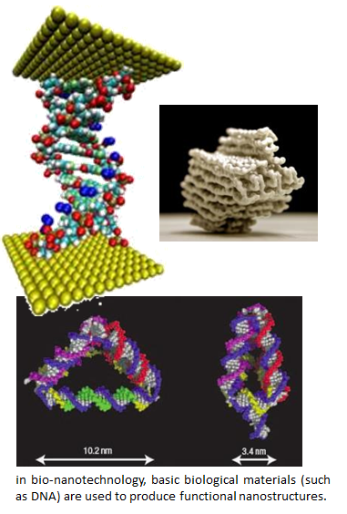 What is the differences between BioTechnology and NanoTechnology? by ...