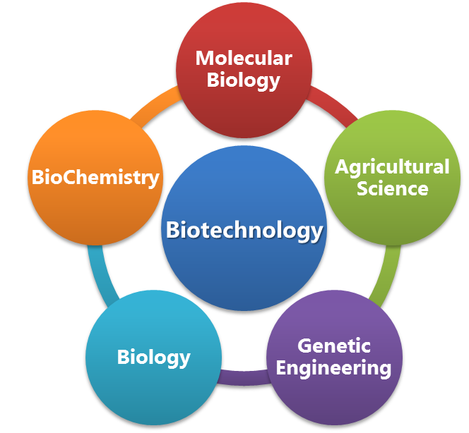 What is the differences between BioTechnology and NanoTechnology? by ...