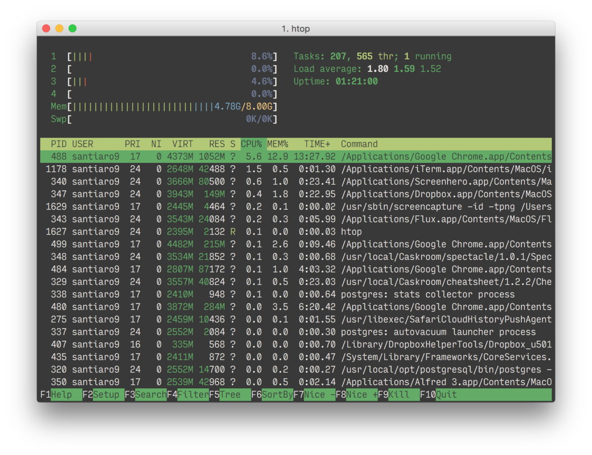Introduction to the CLI: First Steps with the Shell
