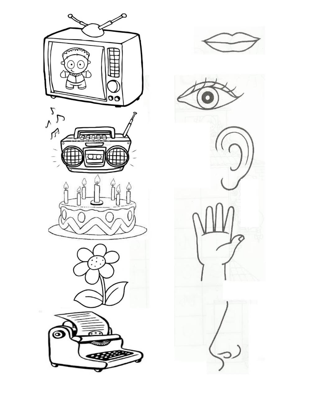 Las partes del cuerpo y los 5 sentidos: 1ero y 2ndo