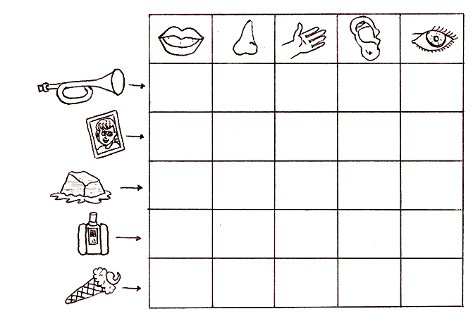 Las partes del cuerpo y los 5 sentidos: 1ero y 2ndo