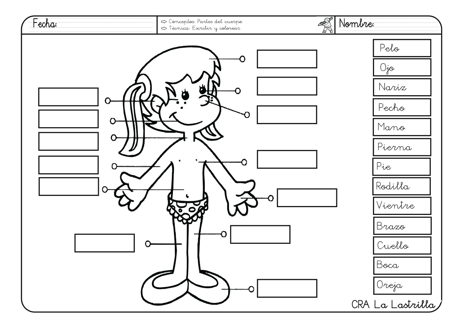 Las partes del cuerpo y los 5 sentidos: 1ero y 2ndo