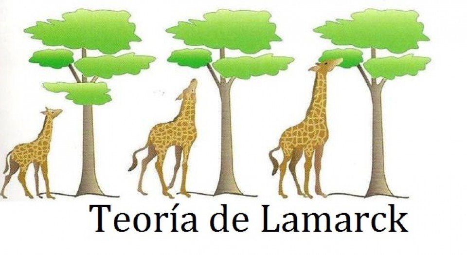 TEORÍAS DE LA EVOLUCION
