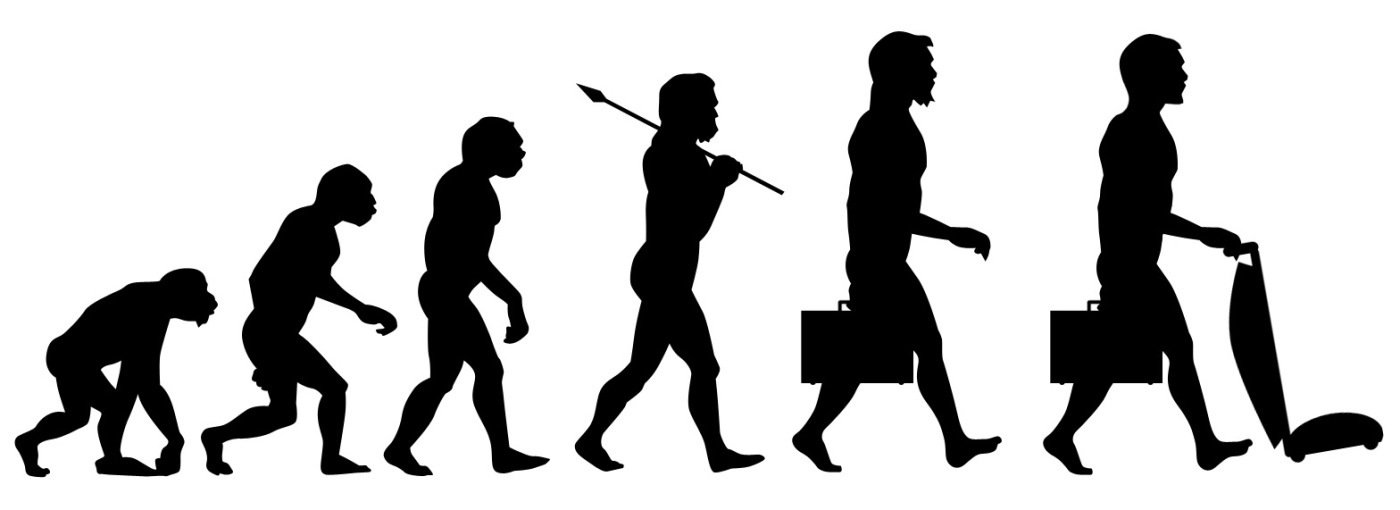 Real world evolutionary design - DDD Europe