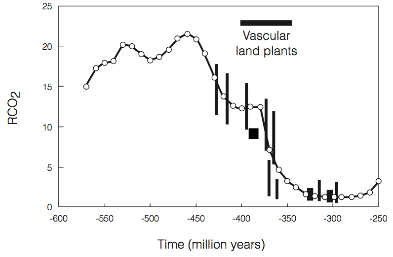 Late Paleozoic Ice Age