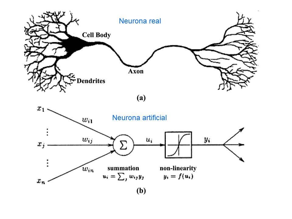 Reconocimiento de Caracteres utilizando redes neuronales