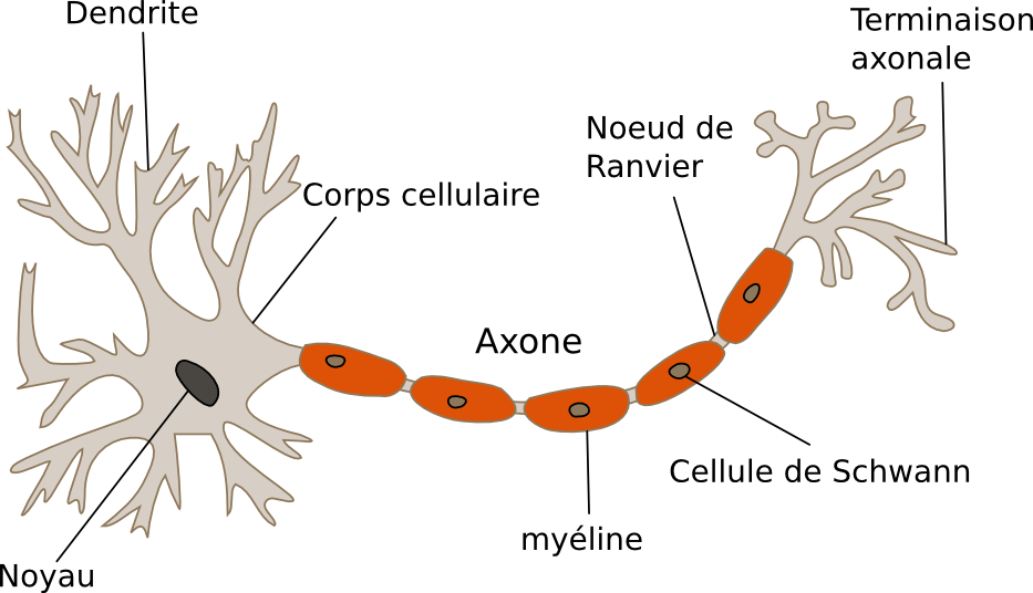 TPE mémoire et souvenirs