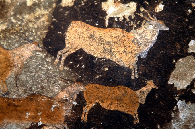 Trust For African Rock Art – Prehistoric African Paintings and Engravings