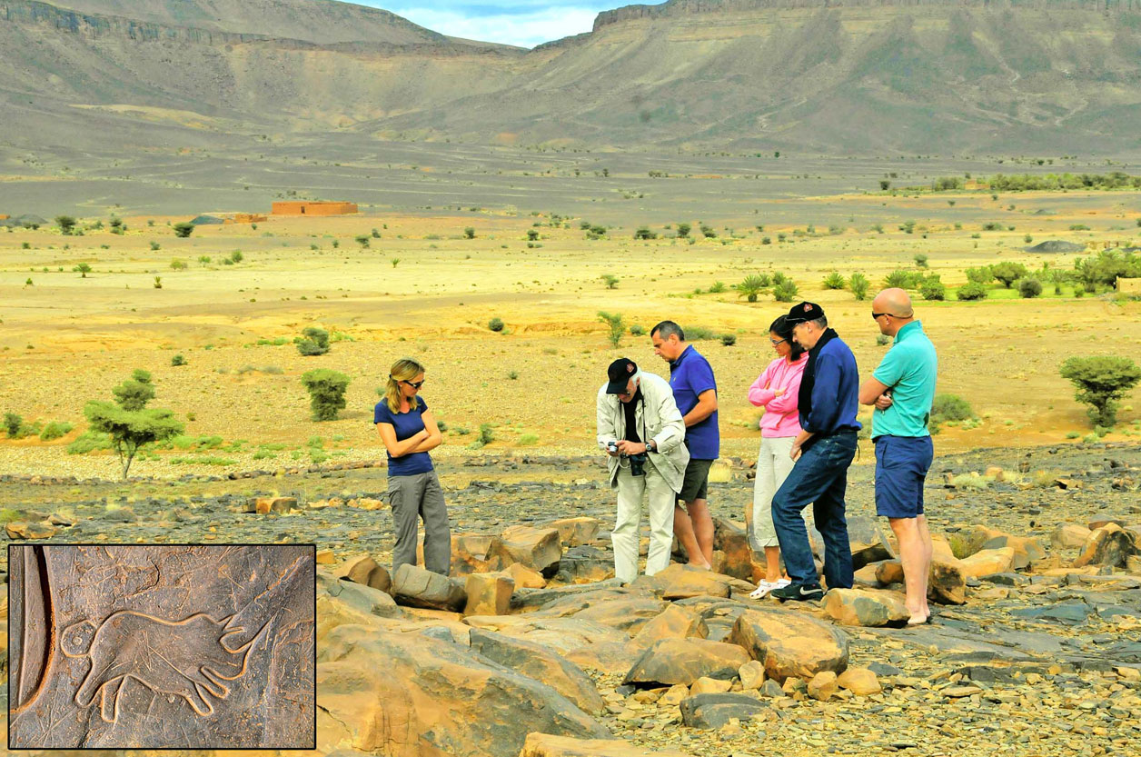 Rock Art Safaris