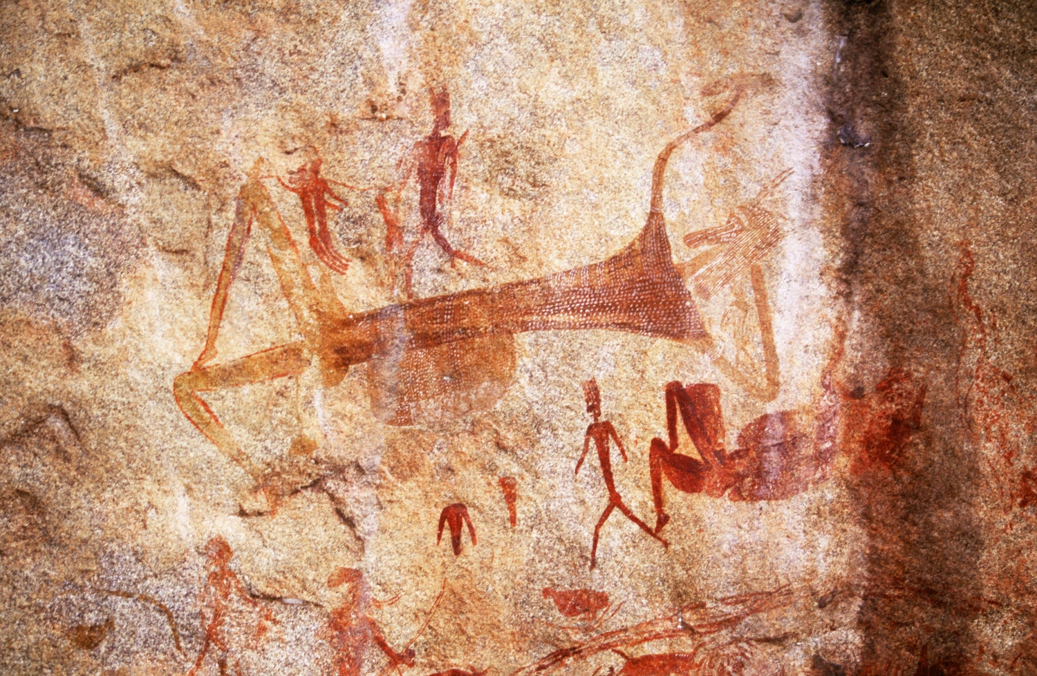 Trust For African Rock Art – Prehistoric African Paintings and Engravings