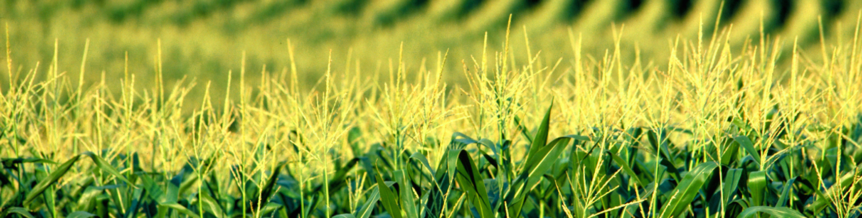 Alabama Agribusiness Council - Homepage