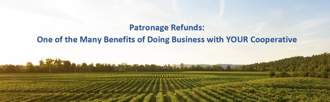 Hull Co-op Association - Homepage