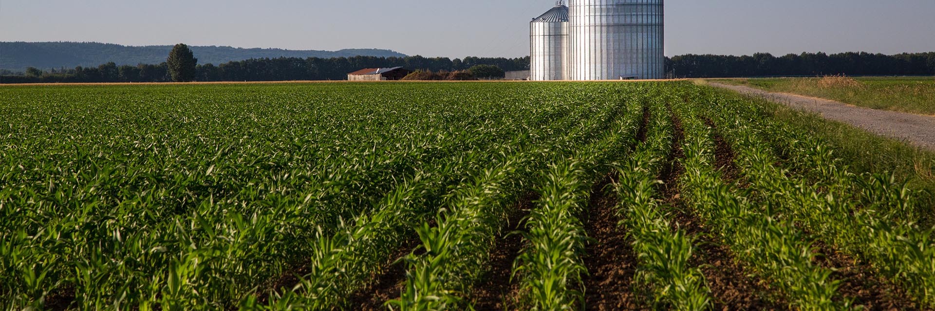 Stratton Coop Burlington Colorado at Michael Schiller blog