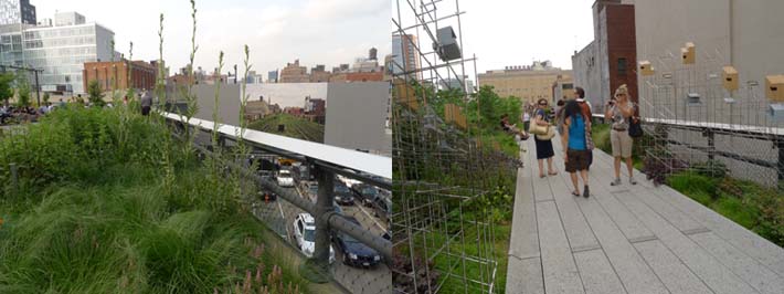 AI-AP | DART » The High Line: A West Side Wonder