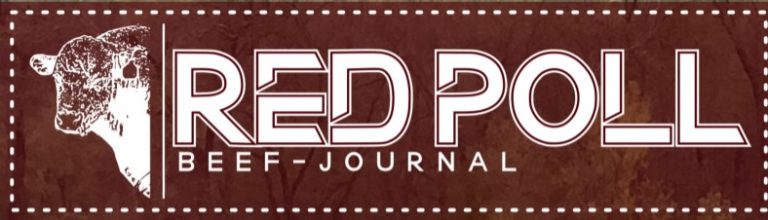 ARPA Red Poll Beef Journal – American Red Poll Association