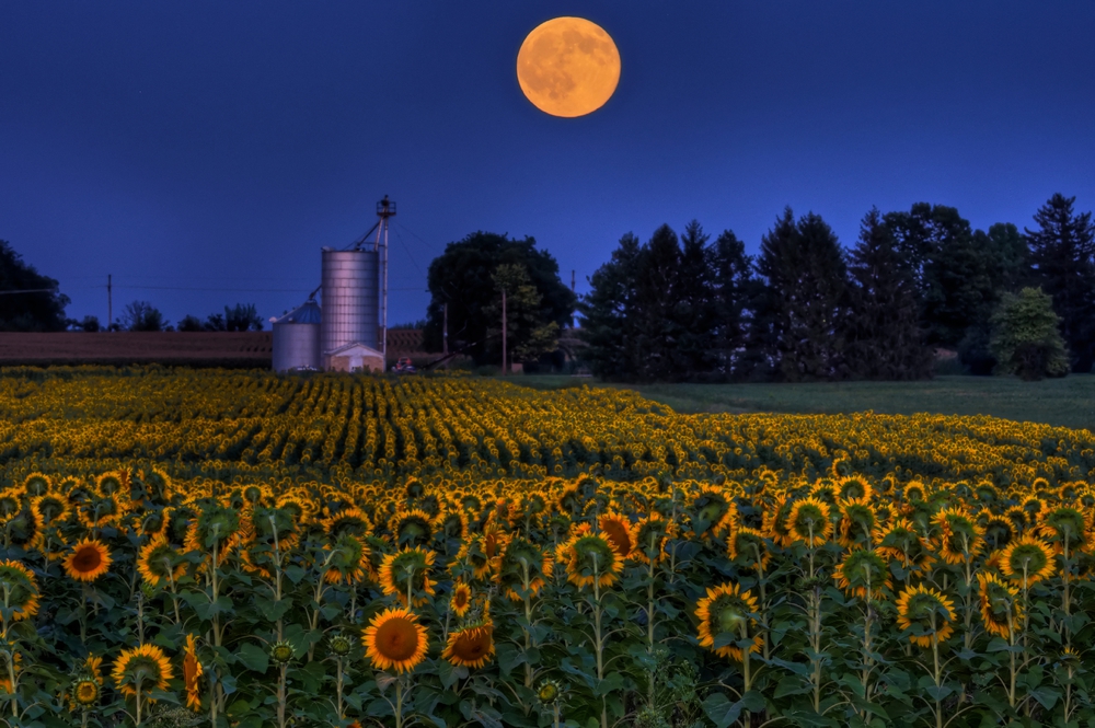 Jim Crotty - Alchetron, The Free Social Encyclopedia