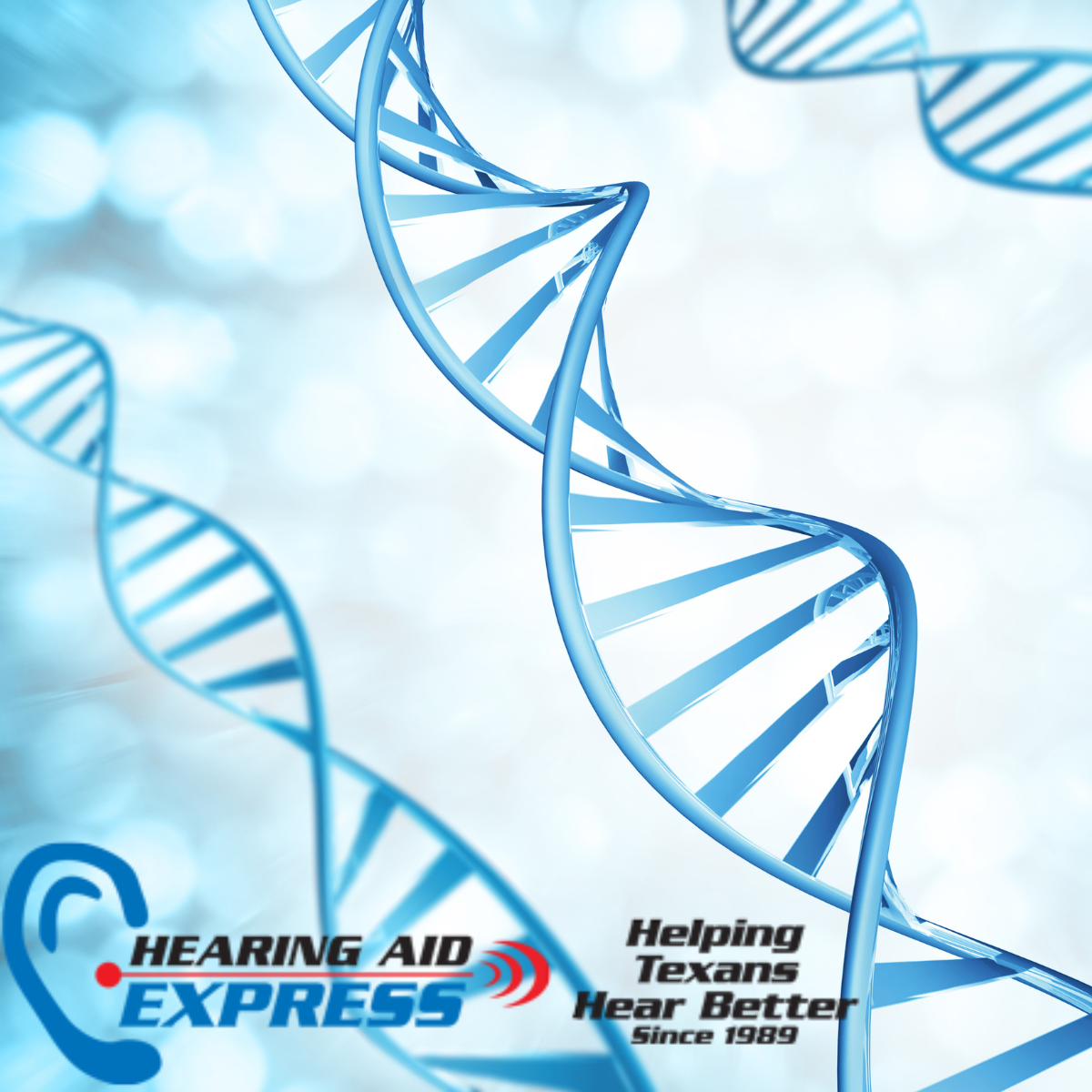 Understanding the Impact of Genetics on Hearing Loss: Insights from ...