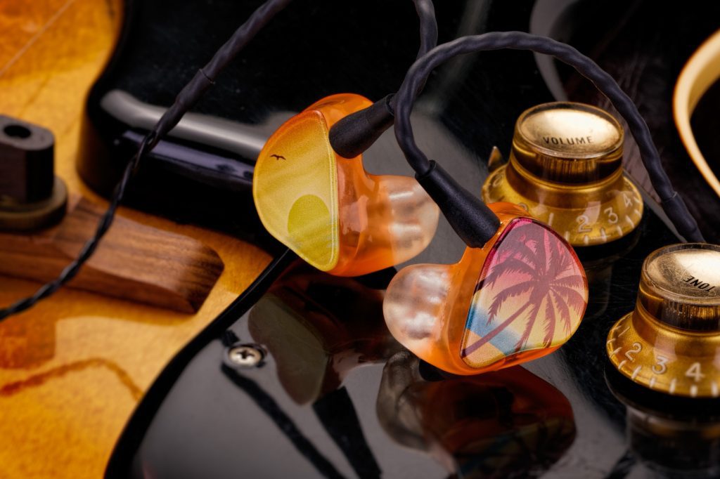 Custom Westone Earbuds Block Background Noise - Audiology & Hearing Aid ...