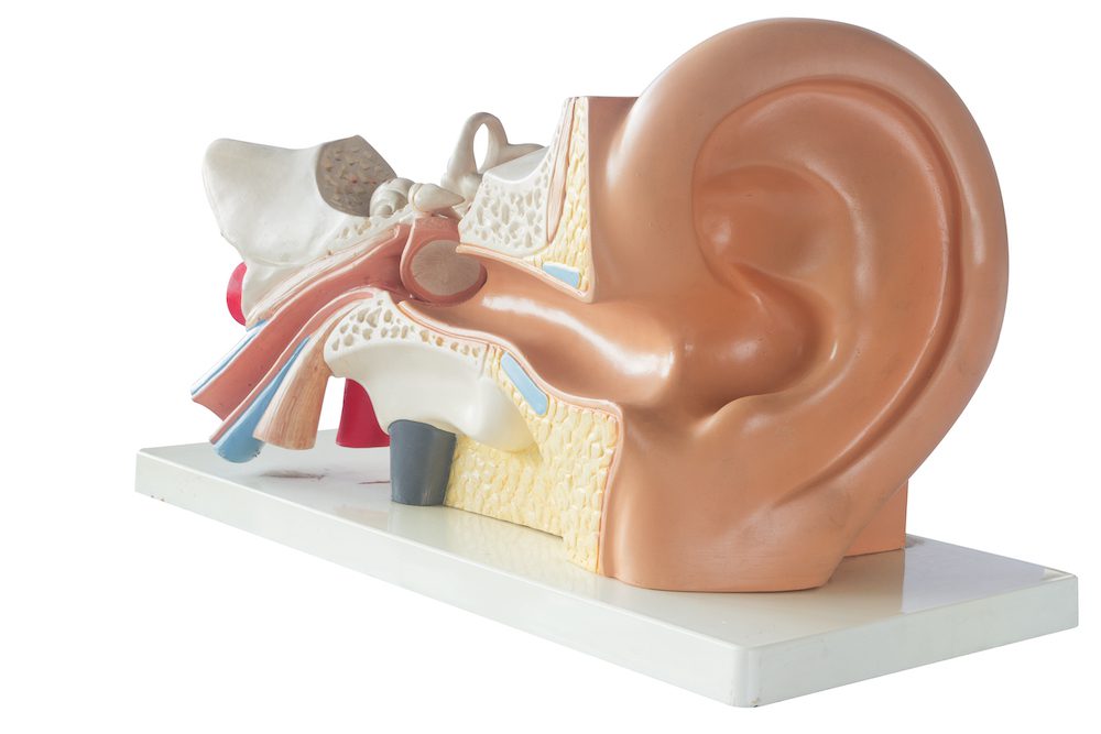 What is Musical Ear Syndrome? - Flynn Associates