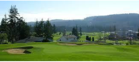 Hope Unlimited | Hope Golf Classic