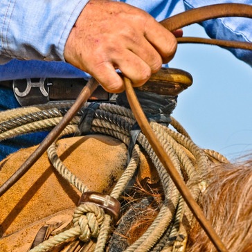 Beau Hague Ministries | THE COWBOY'S DEVOTIONAL SERIES