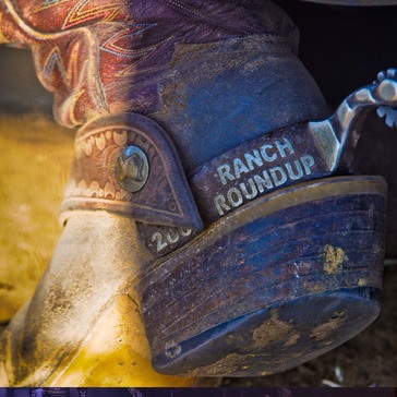 Beau Hague Ministries | THE COWBOY'S DEVOTIONAL SERIES