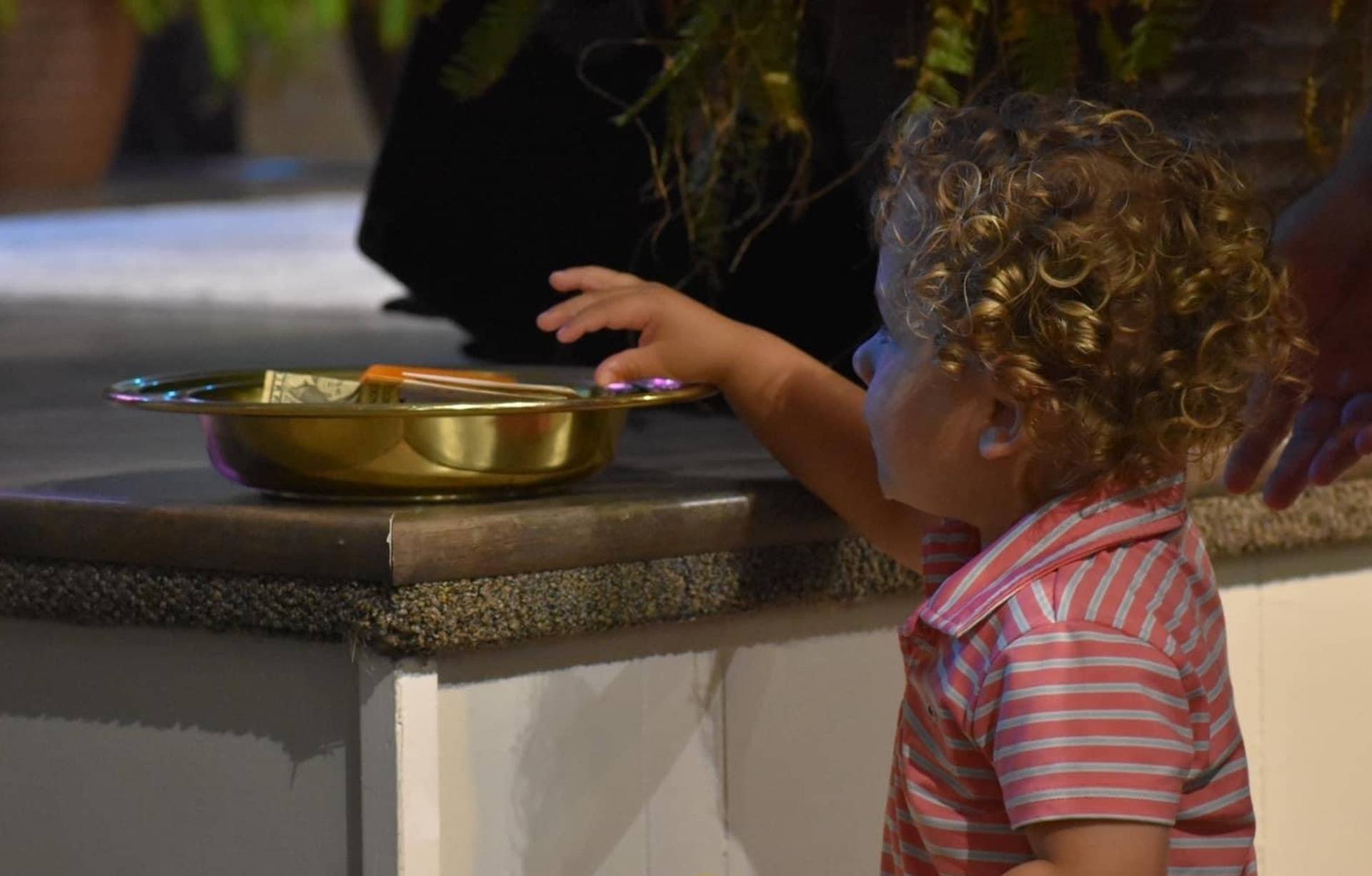 Sixth Avenue COG | Home