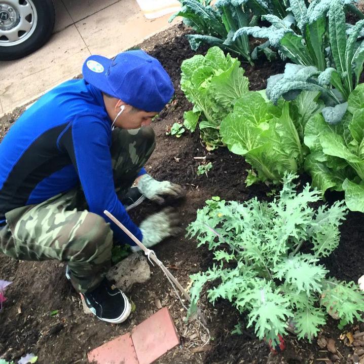 First Evangelical Free Church of Los Angeles | Nehemiah House