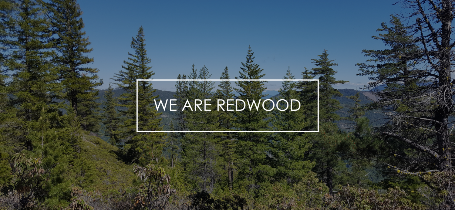Redwood Christian Church | Serve