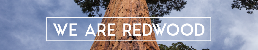 Redwood Christian Church | Our Beliefs