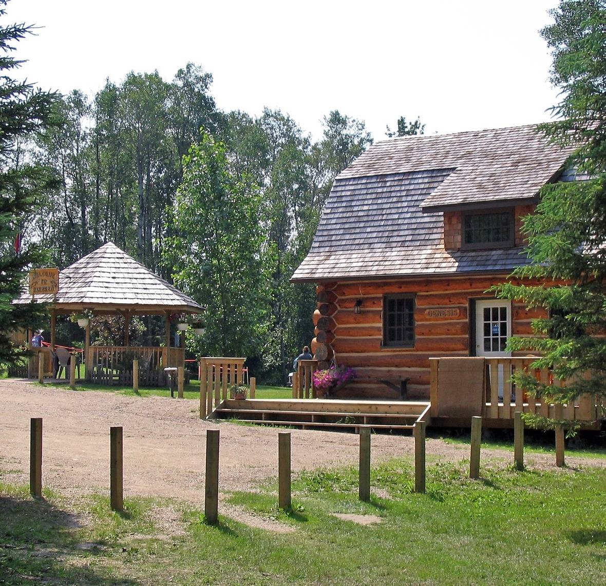 Camp Kinasao | Newsletters & Videos