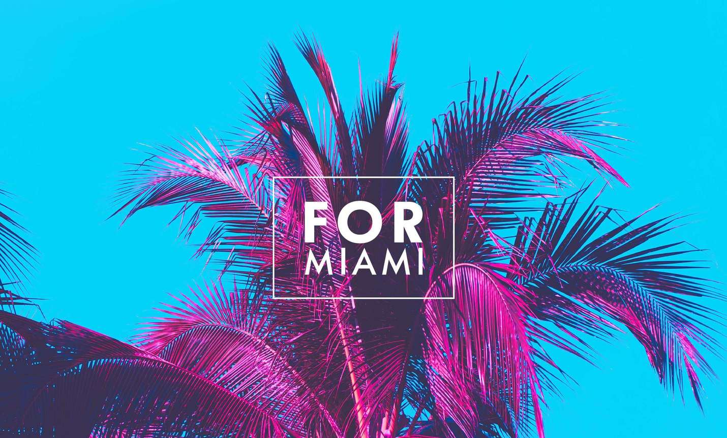 New Dawn Church | Home