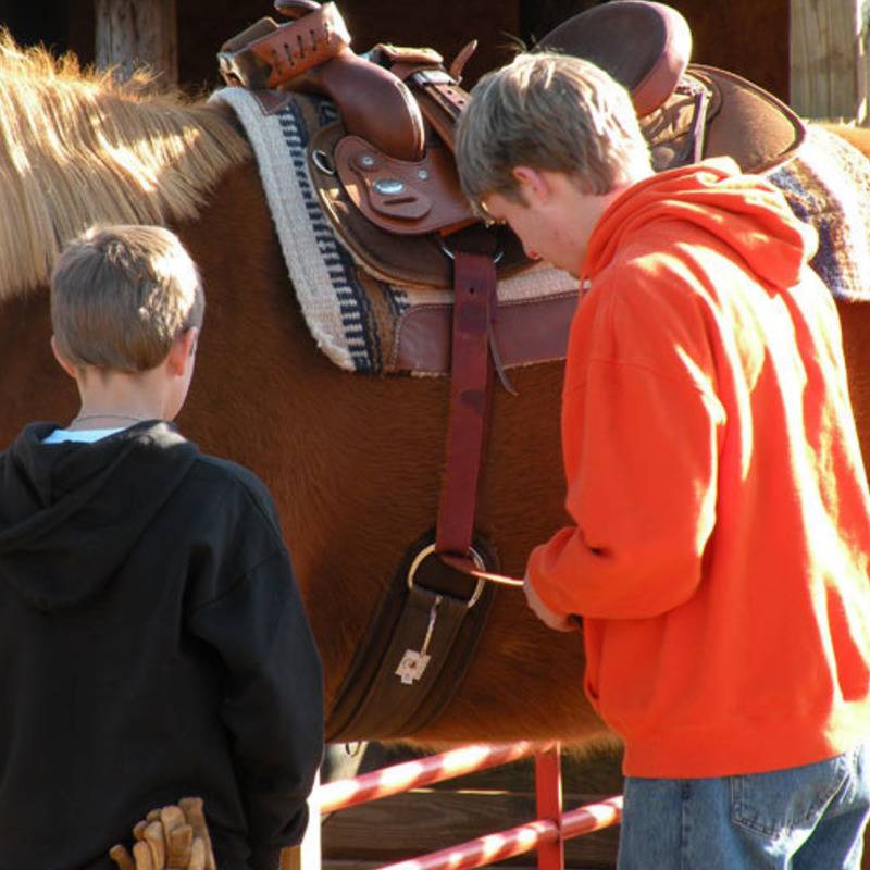 Boys Farm Inc | IMPACT Programs