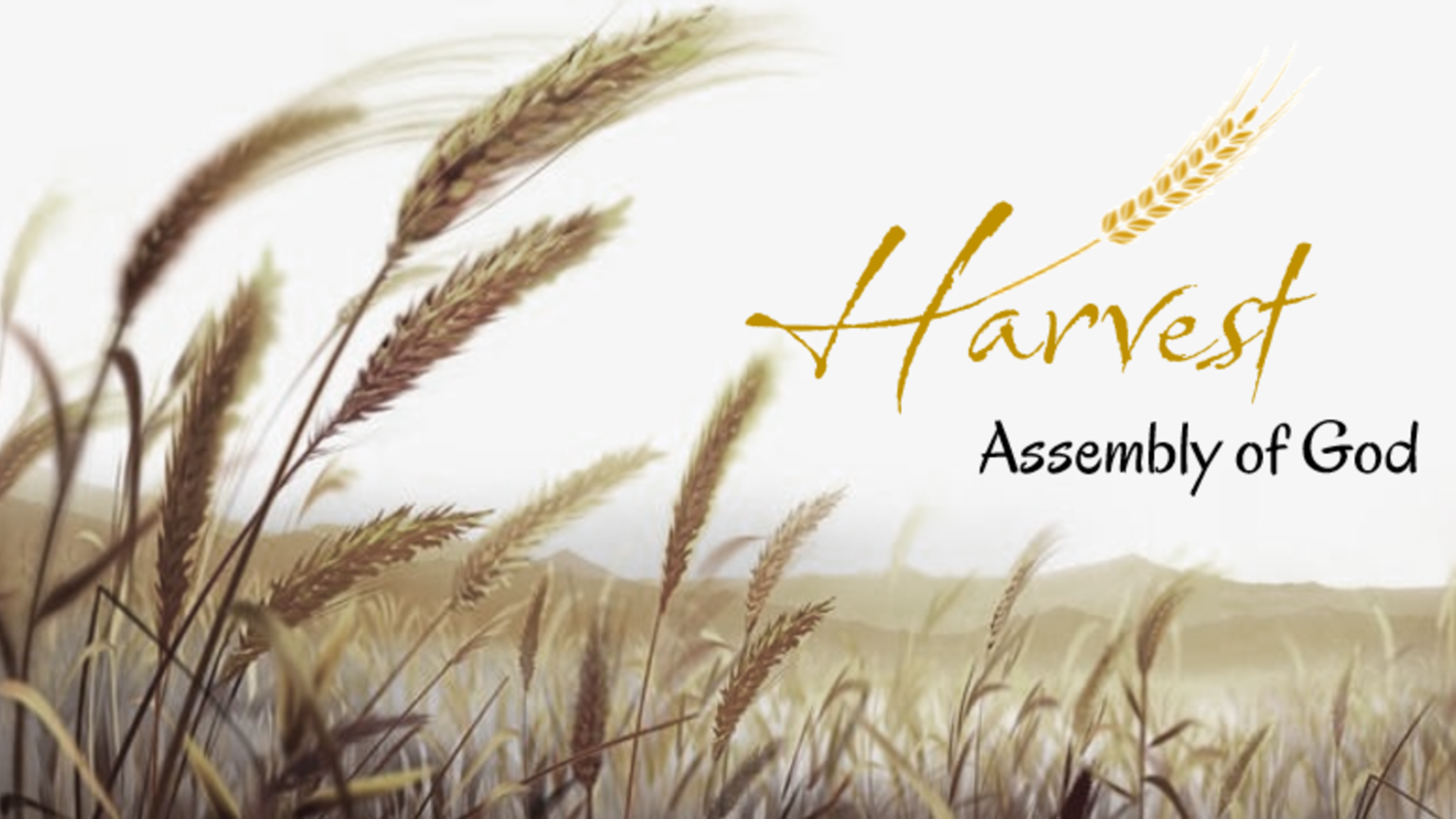 Harvest Assembly of God | Home