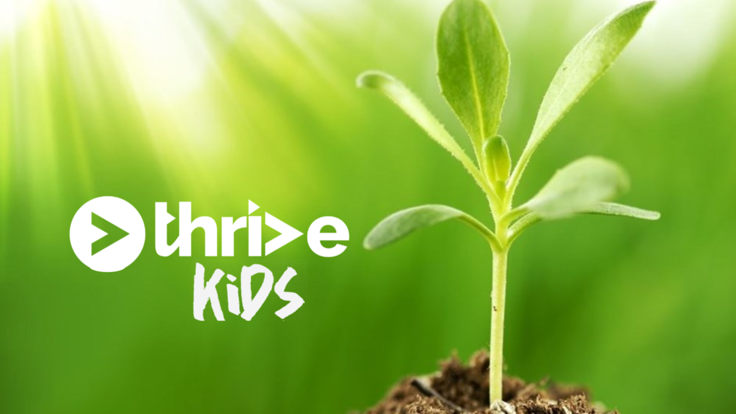 Thrive Kids Preschool | Home