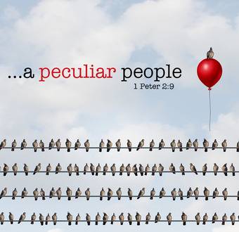 Lancaster Alliance Church | Sermon - A Peculiar People
