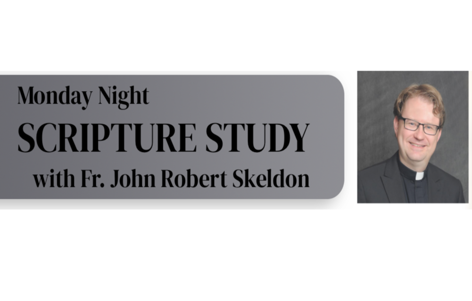 St. Patrick Cathedral | Scripture Studies